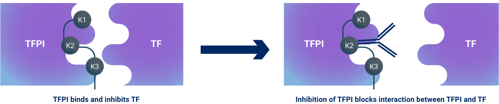 TFPI Information | Info For HCPs
