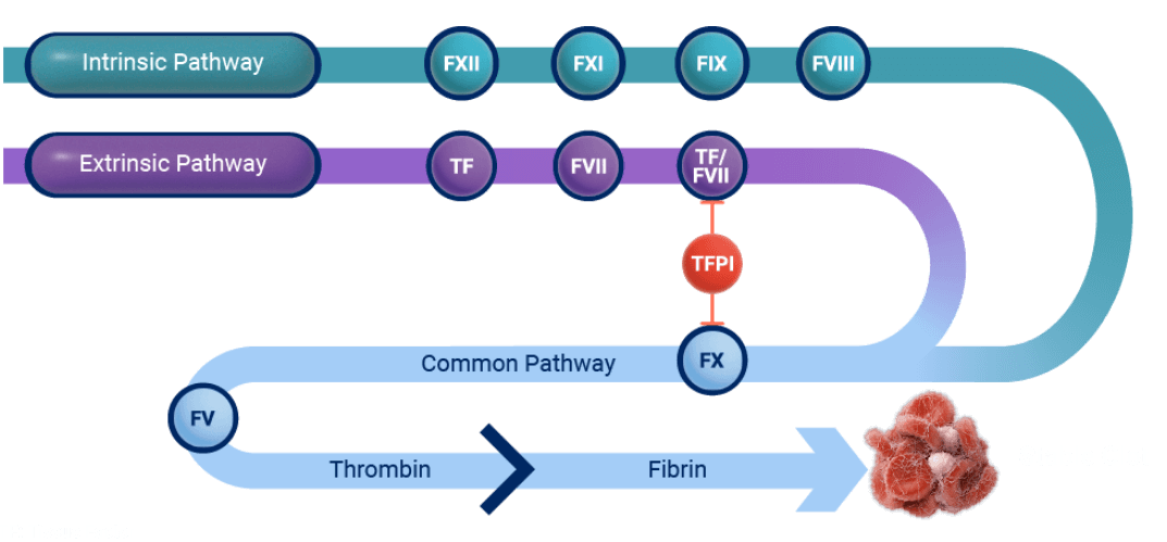 TFPI Information | Info For HCPs